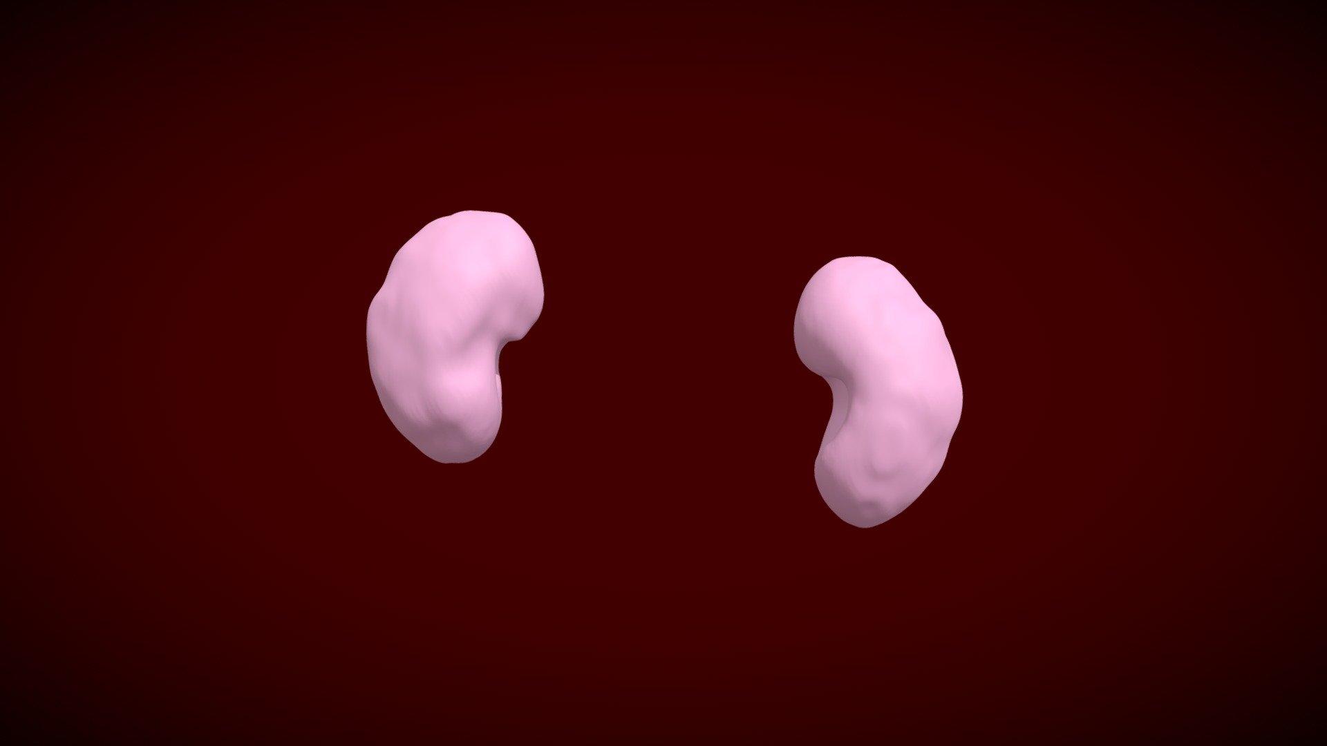 Left Kidney - Download Free 3D model by aditiav [7d08f63] - Sketchfab