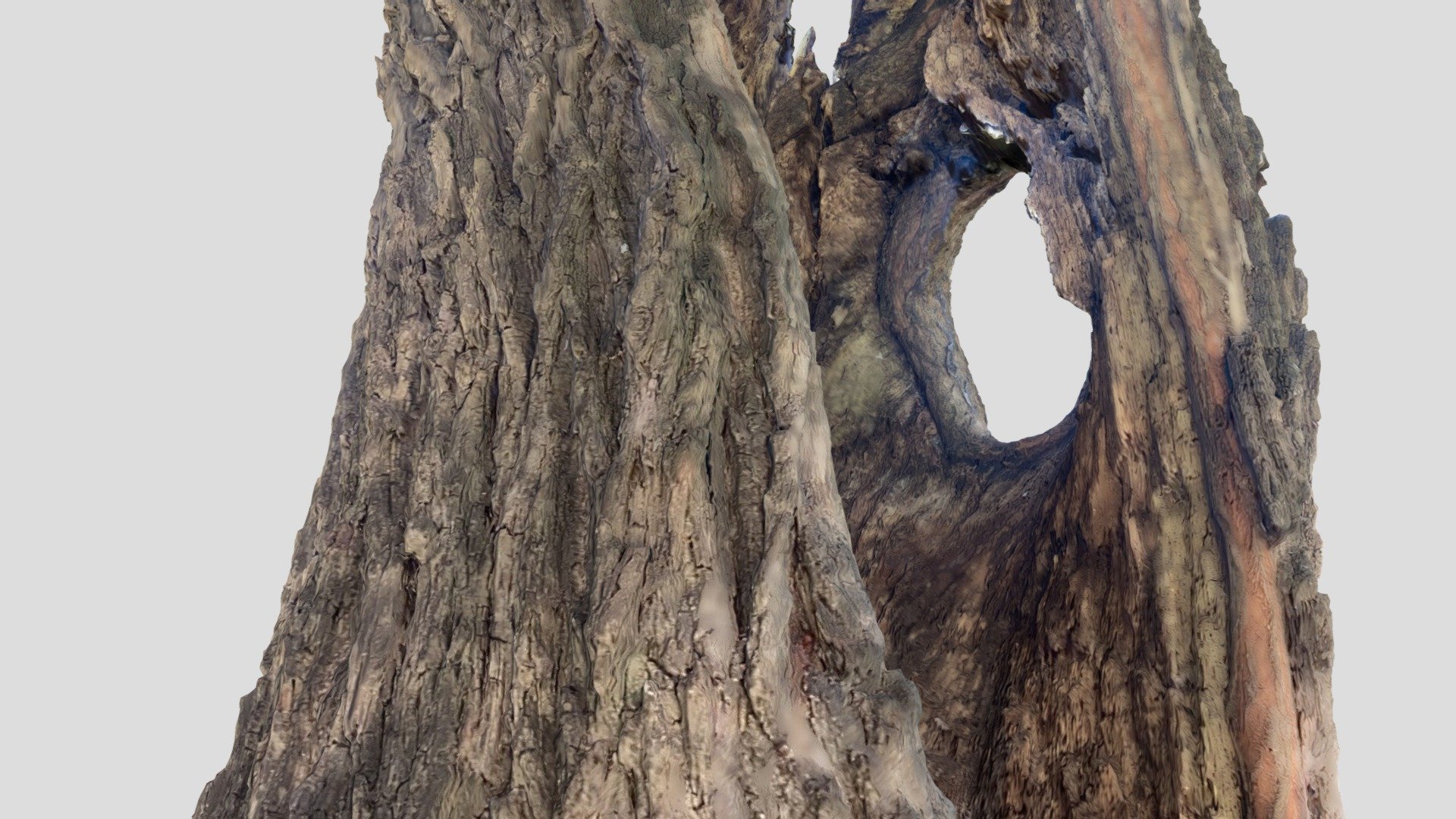 Willow Hero 2 - Download Free 3D model by MattMakesSwords - Scans ...