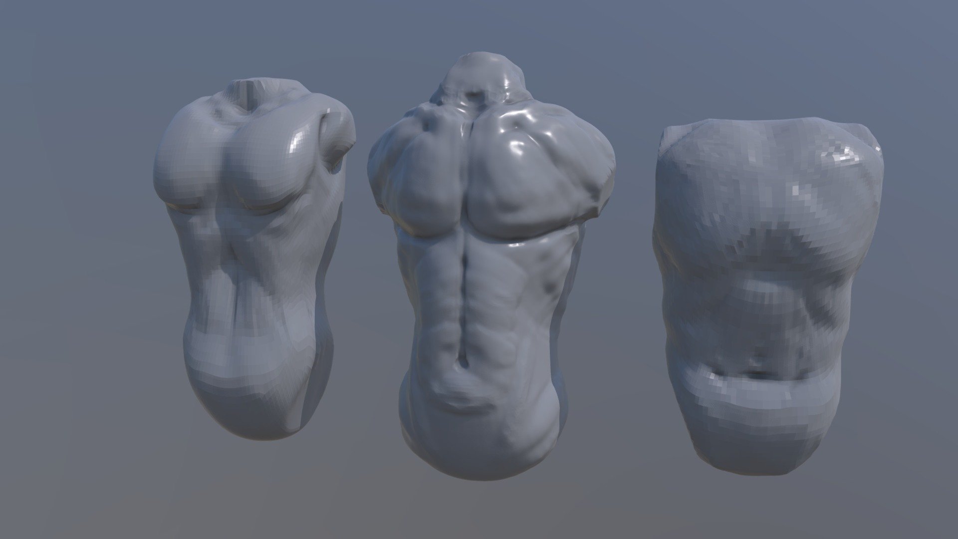 Torso practice sculpts - 3D model by Rebecca Gainer (@rebeccaG ...