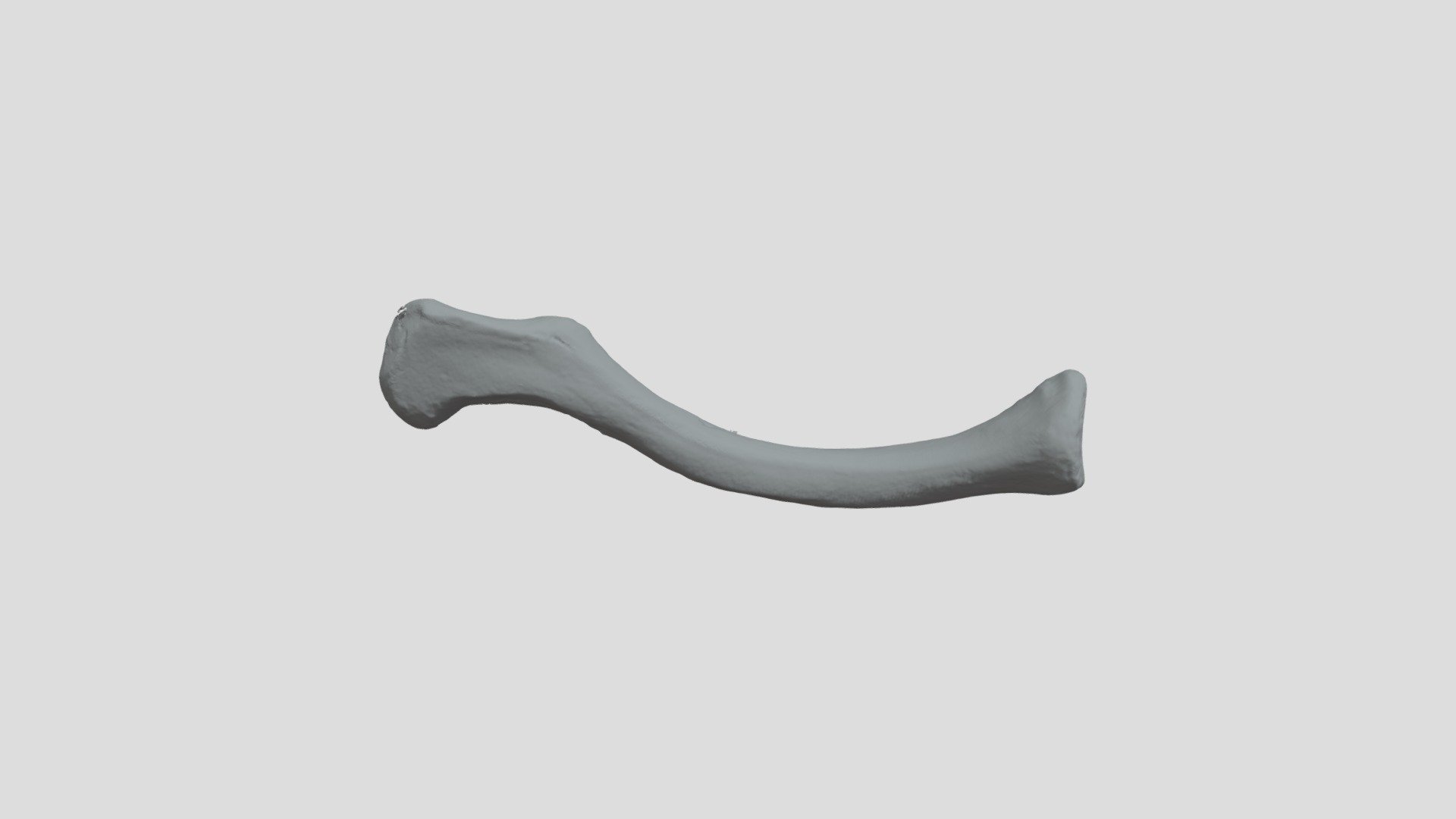 Clavicle - 3D model by vhassenfeldt [7d1f2a9] - Sketchfab