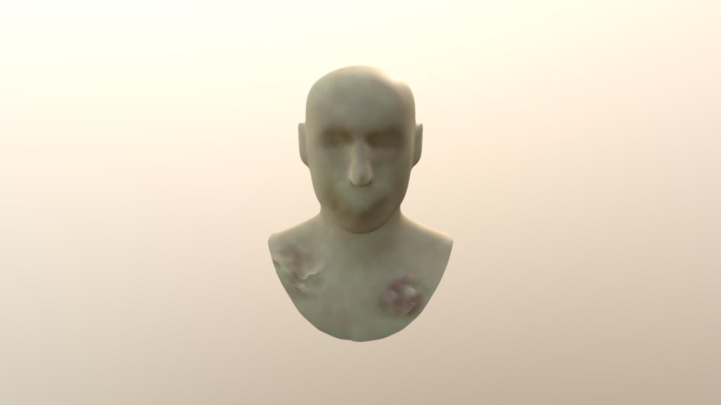 Basichead - 3D model by 0033415 [7d22777] - Sketchfab