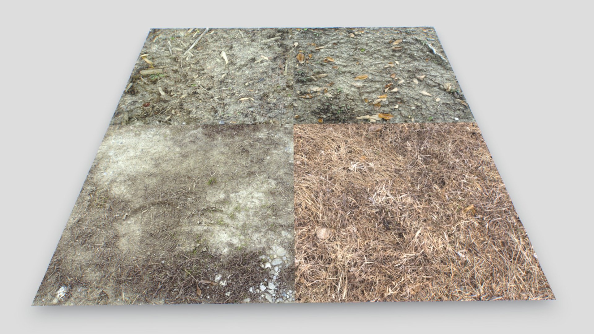 Forest dirt Pack 2 - Buy Royalty Free 3D model by 32cm [7d22aae ...