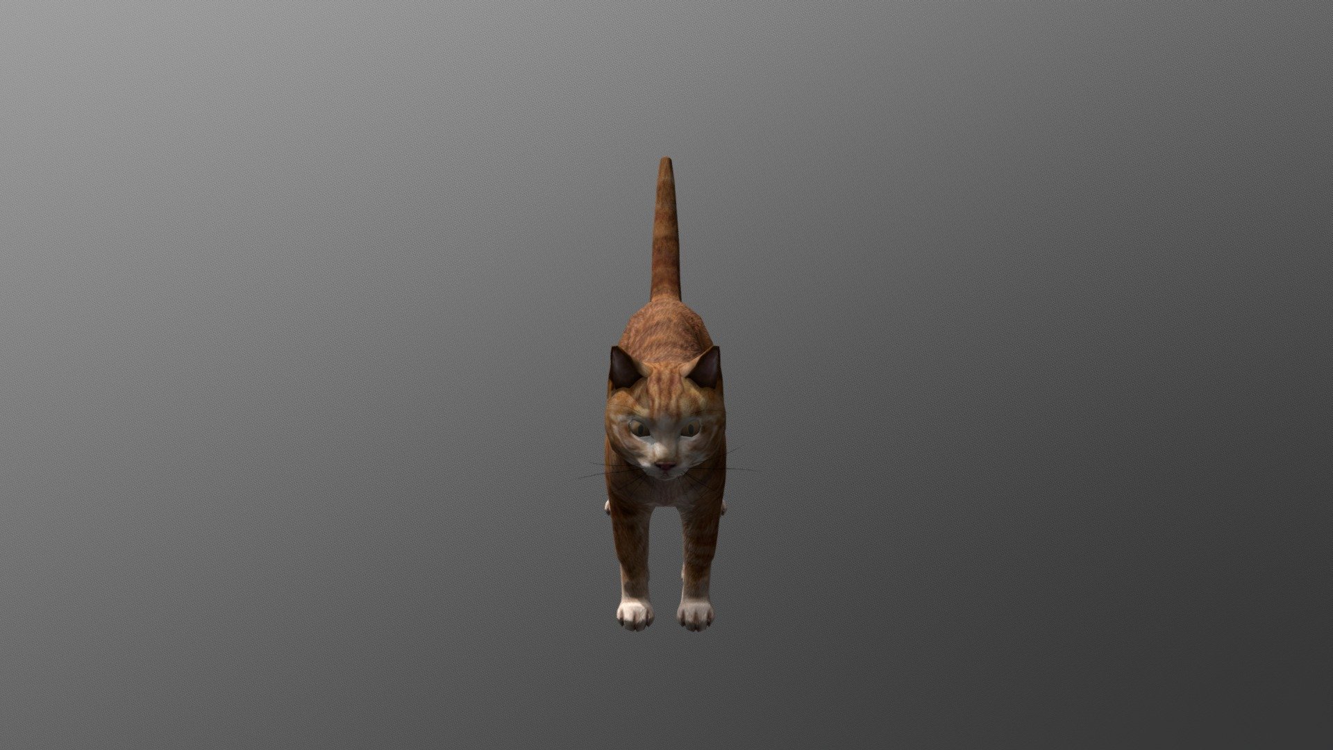 Cat - 3D model by chrisathook [7d2fb09] - Sketchfab