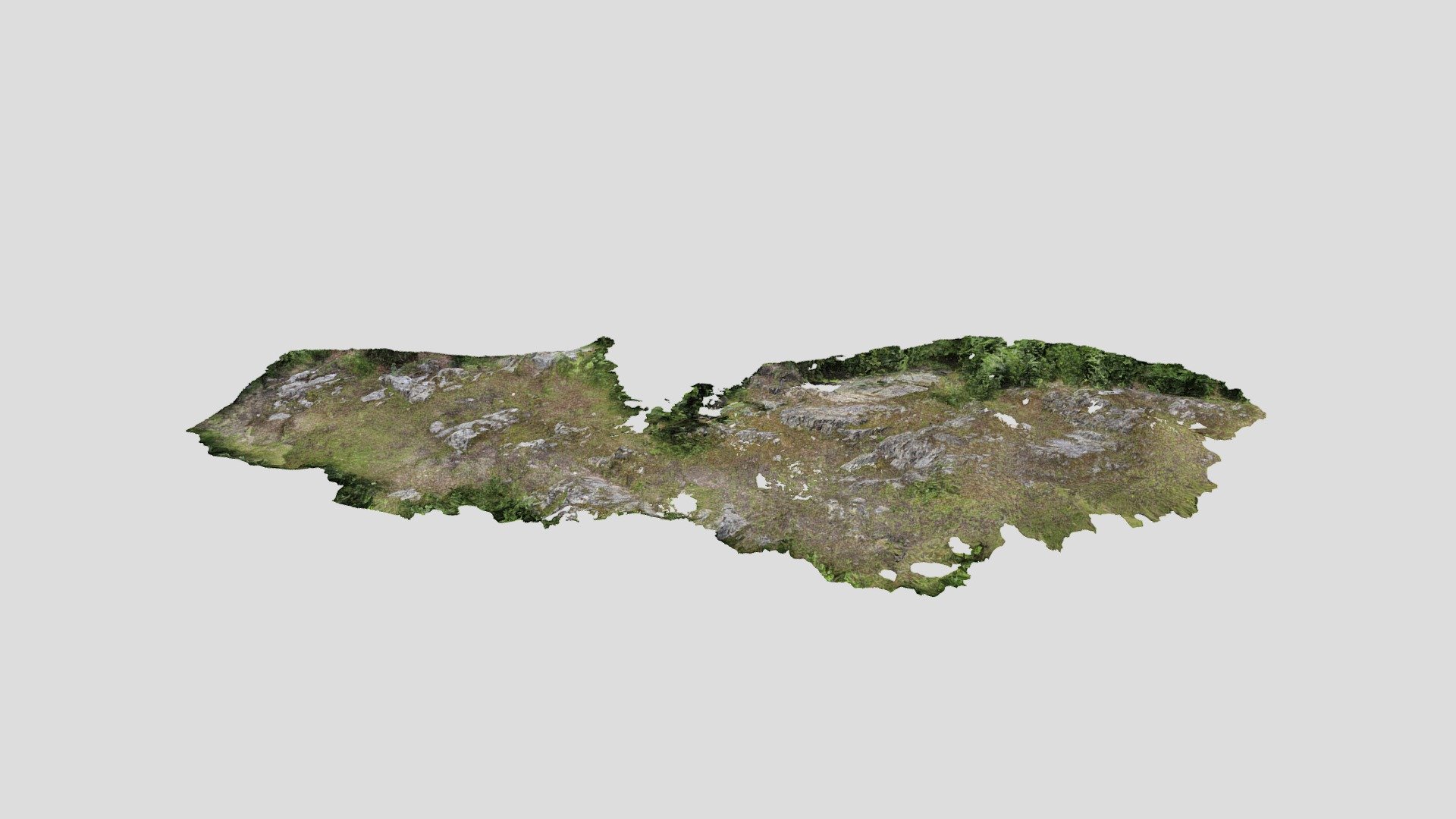 South of Coppice Plantation 1 (Bradgate) - 3D model by Department of ...