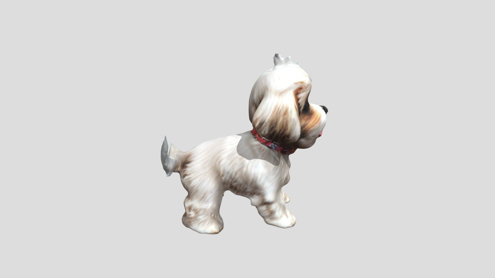 Shih Tzu Dog - Download Free 3D model by suyashjain004 [7d36e46 ...