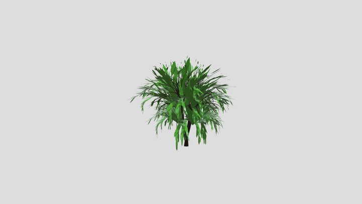 Jungle-tree 3D models - Sketchfab