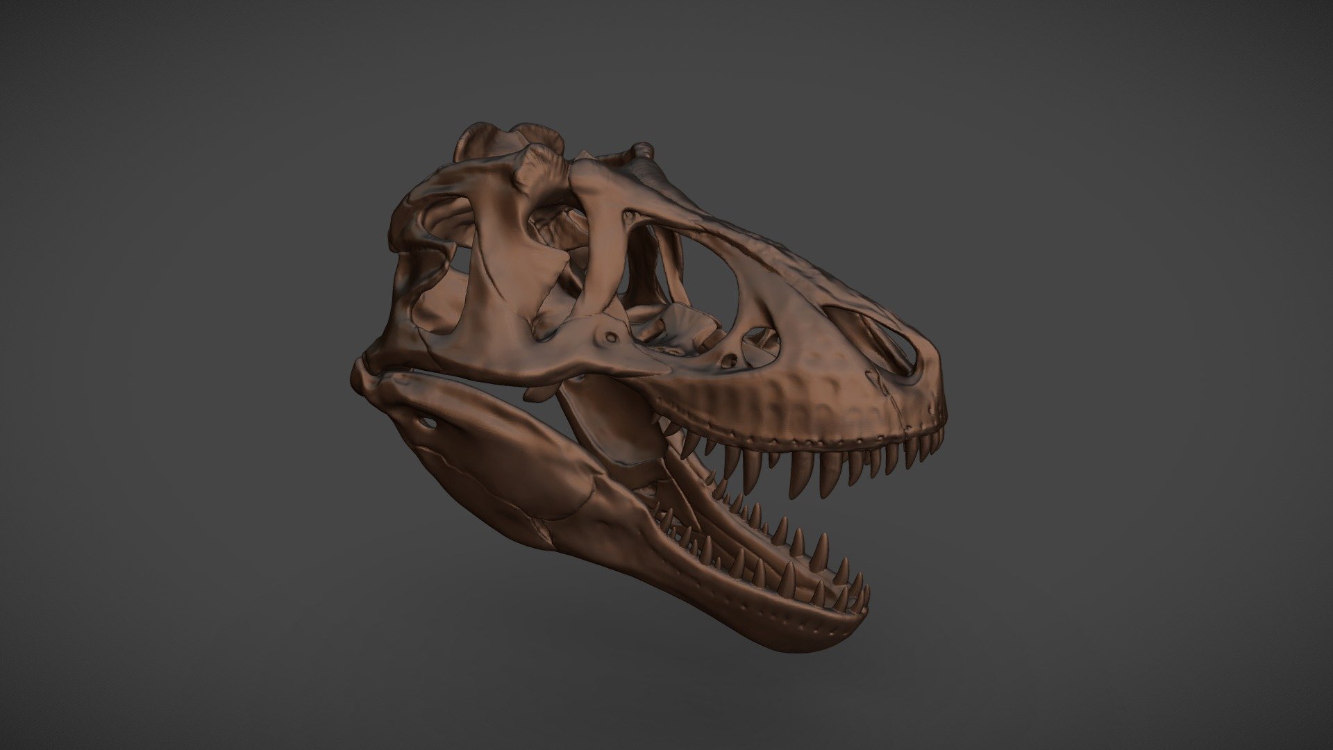 Trex Skull Sculpt - Buy Royalty Free 3D model by Oakyere [7d540b6 ...