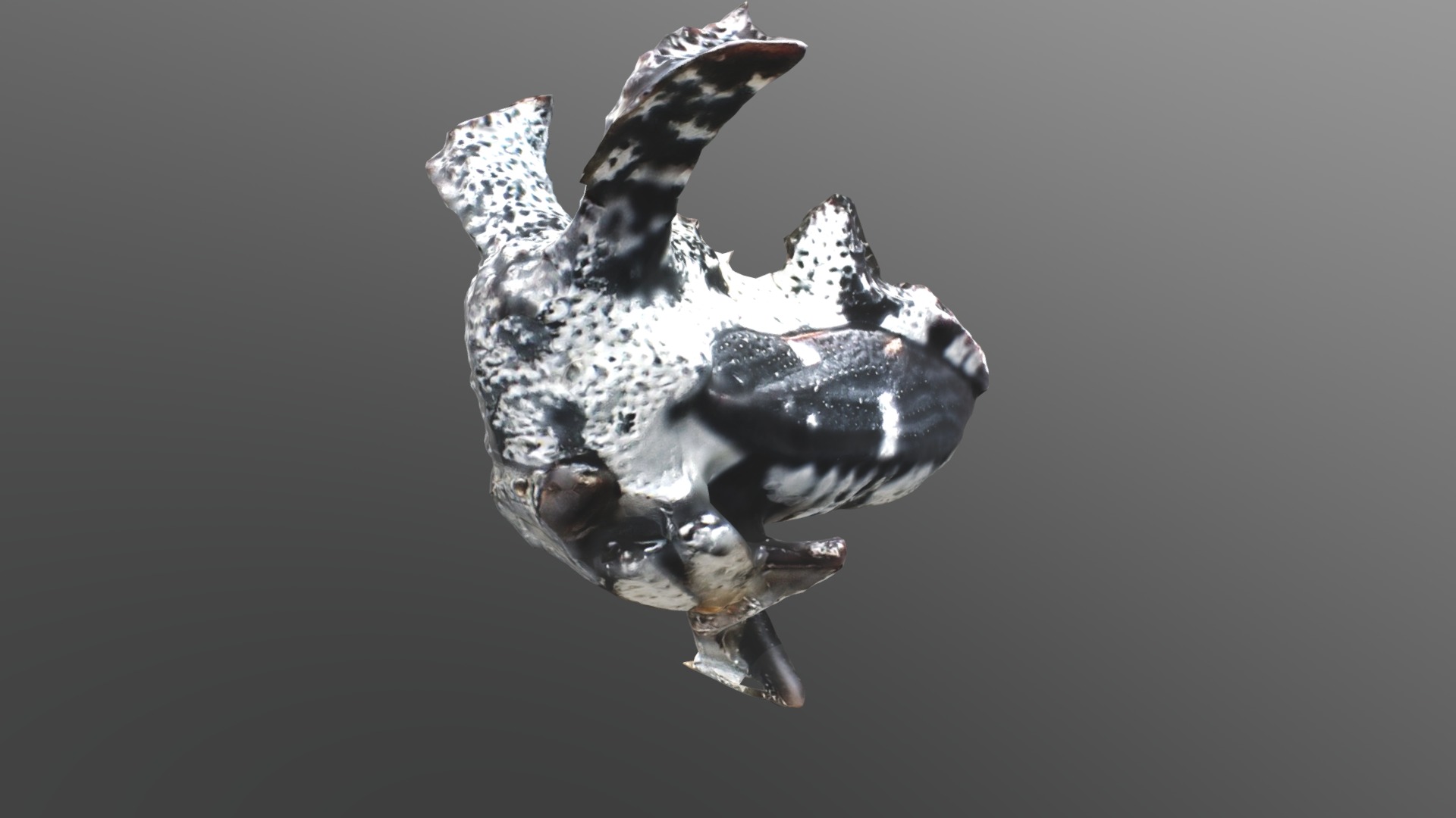 [REAL SPECIMEN] Tree Hopper2 - 3D model by engine_moth [7d5a4af ...
