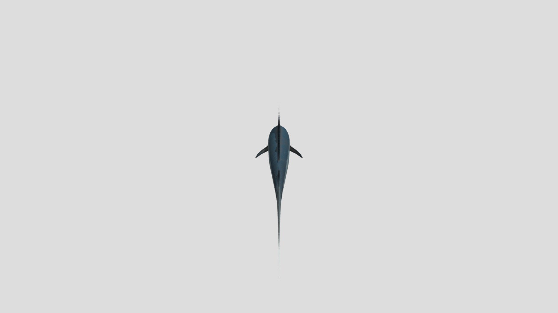 Blue Marlin - Download Free 3D model by An Evil Sonic (@Gotta_go_evil ...