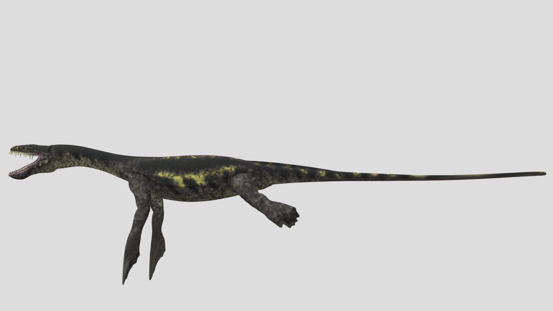Dinoraul's Nothosaurus But It's Lariosaurus - Download Free 3D model by ...