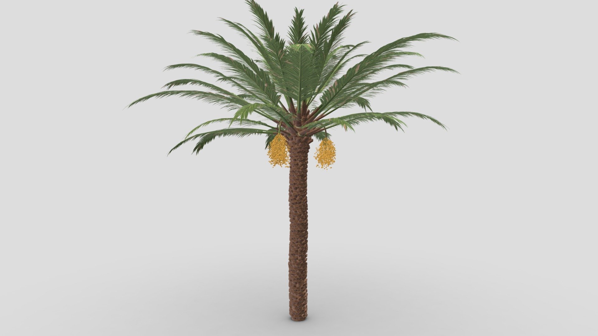 Date Tree- 01 - Buy Royalty Free 3D model by ASMA3D [7d60e0f ...