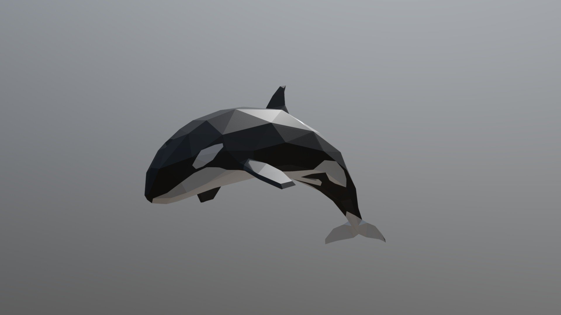 Orca_15 - 3D model by Nazar (@Bohdanov) [7d64679] - Sketchfab