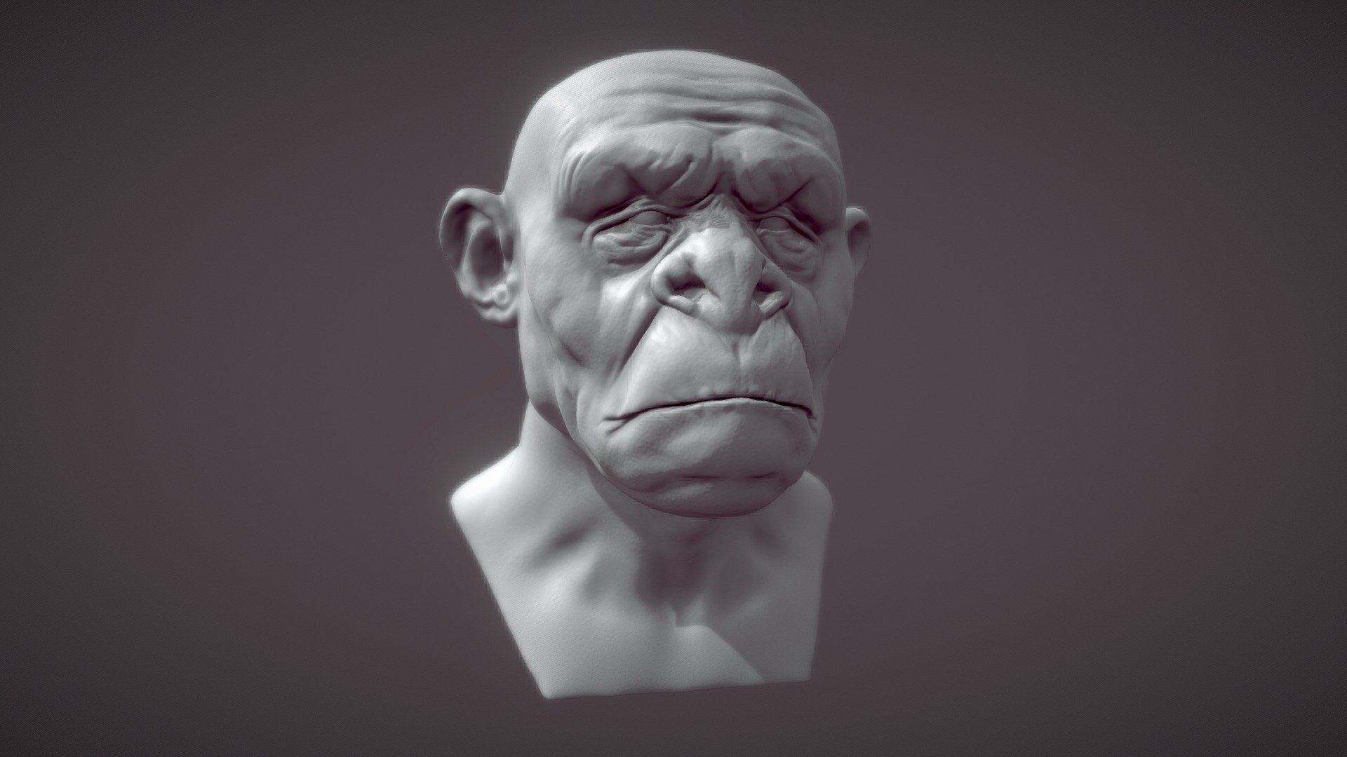 Ape Head Bust - 3D model by Garry.Samuel.Donzelli.Gray [7d7c057 ...