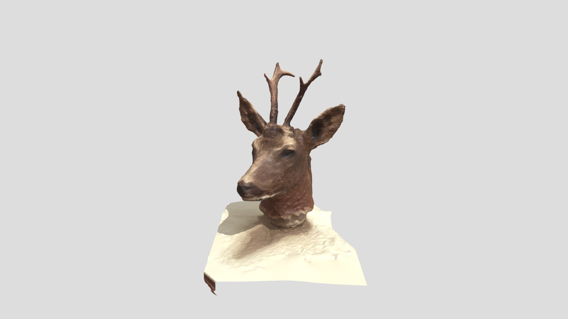 hfghfghfgh - 3D model by sebii [7d7d8ca] - Sketchfab