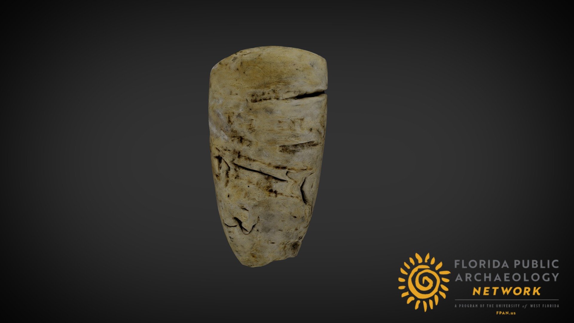 Shell Celt - 3D model by Florida Public Archaeology Network (@fpan ...