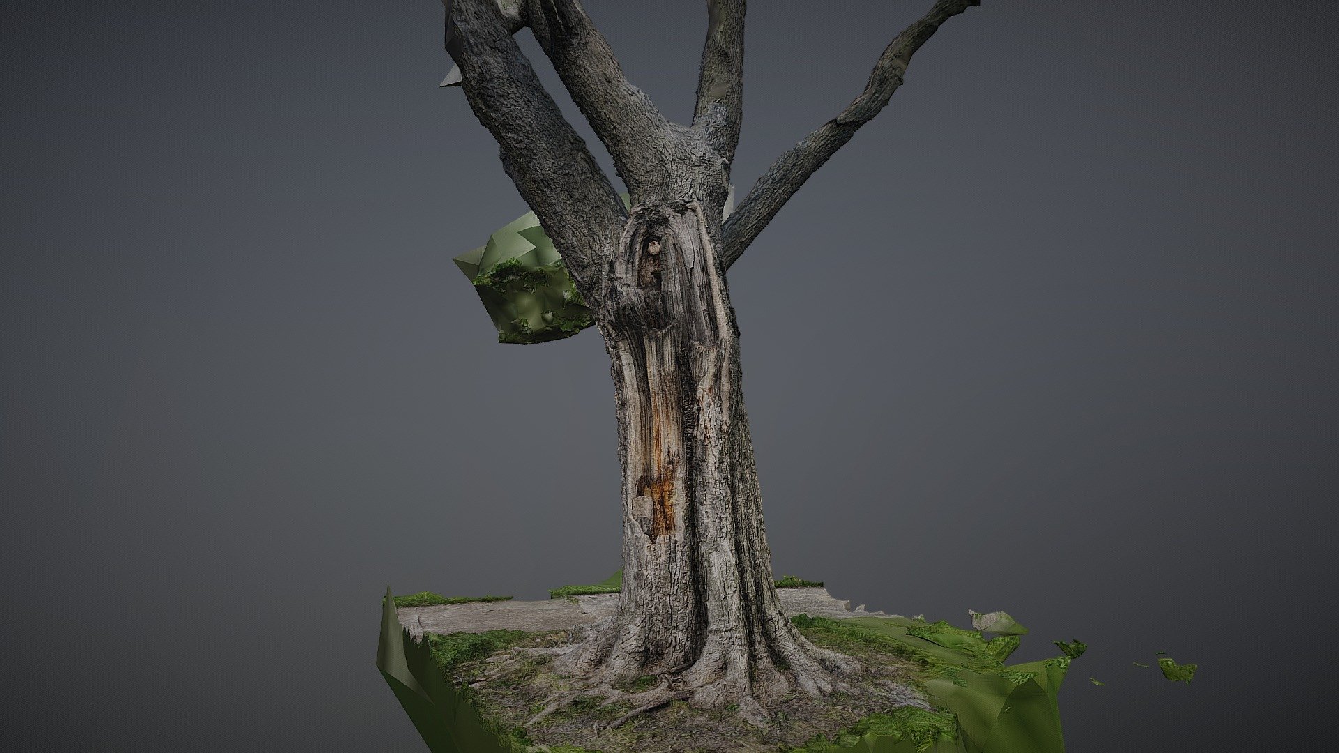 old tree - Download Free 3D model by Charliebw3 [7d85573] - Sketchfab