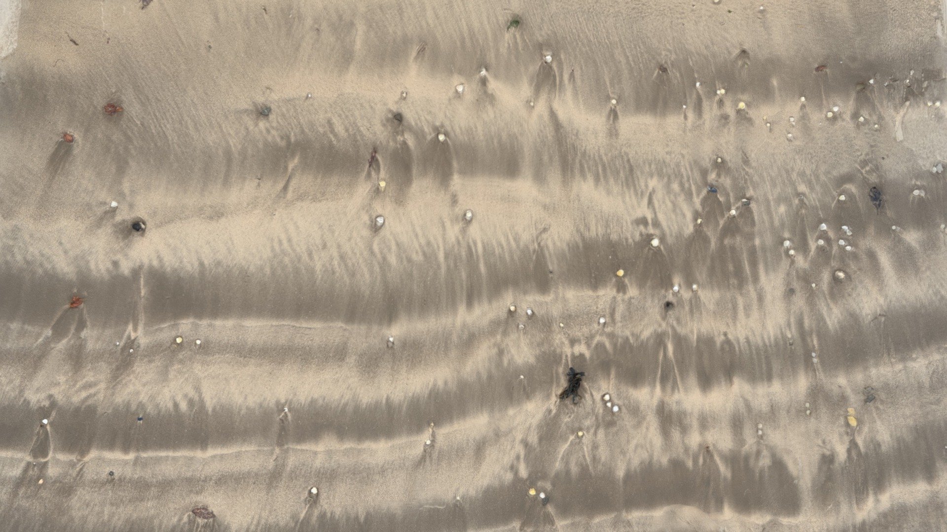 Tidal Estuary Sand - Download Free 3D model by emcderm [7d85c8d ...