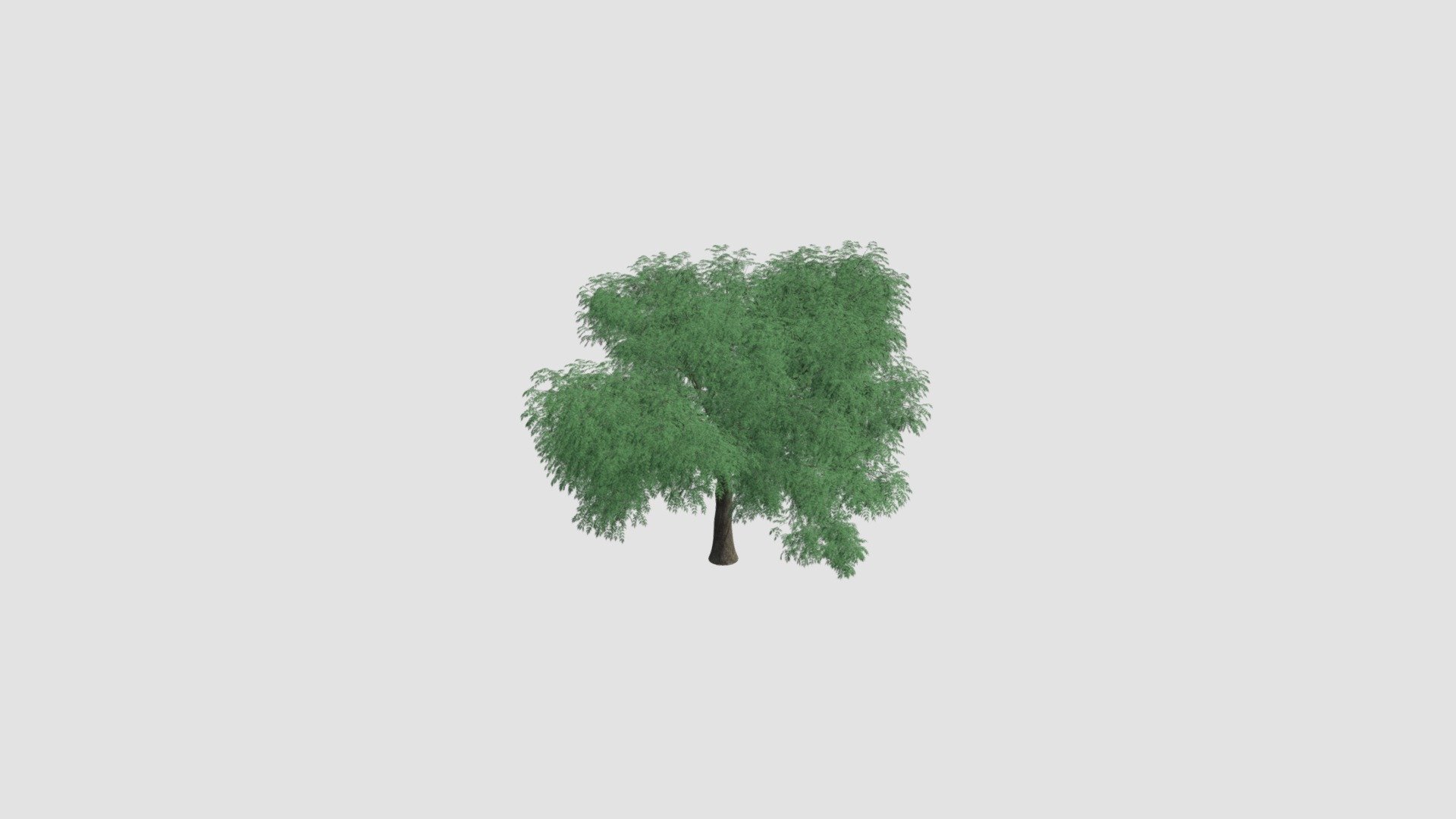 tree - Buy Royalty Free 3D model by Evermotion [7d86b56] - Sketchfab Store