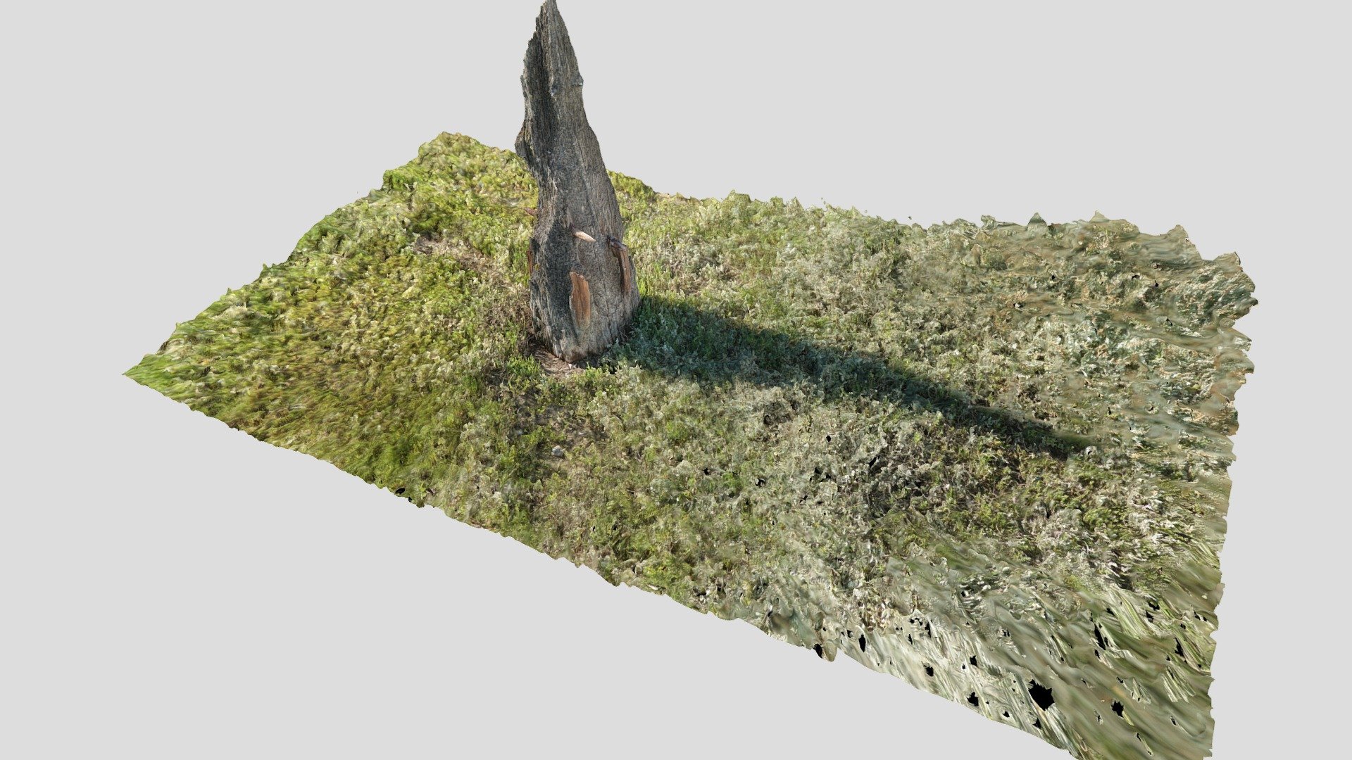 SEAFORD - TIDE MILLS - 3D model by peterbarry [7d8abe0] - Sketchfab