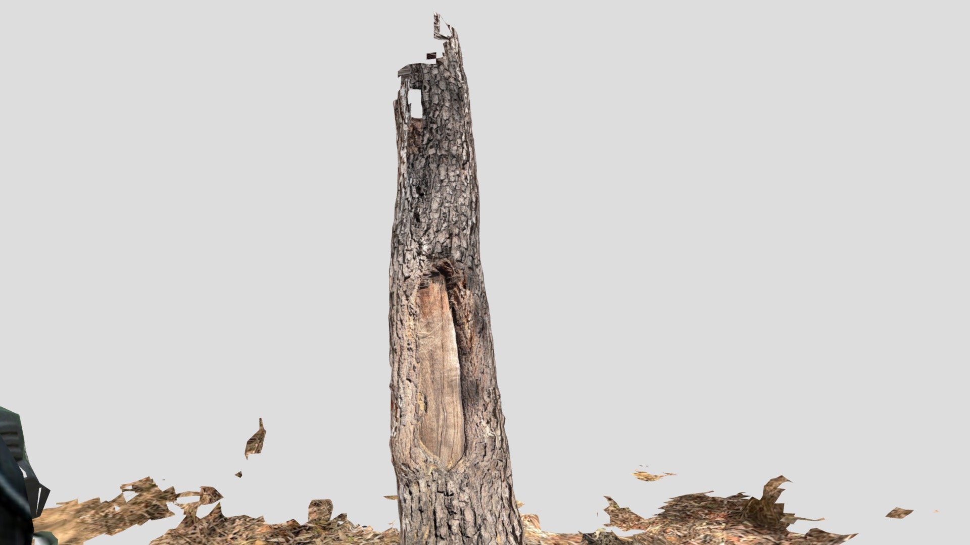 scar tree - Download Free 3D model by marisa.giorgi [7d8c73e] - Sketchfab