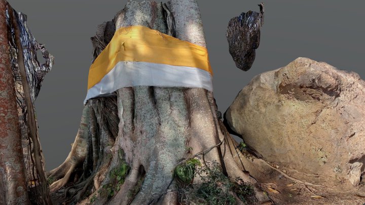 Pohon 3D models - Sketchfab