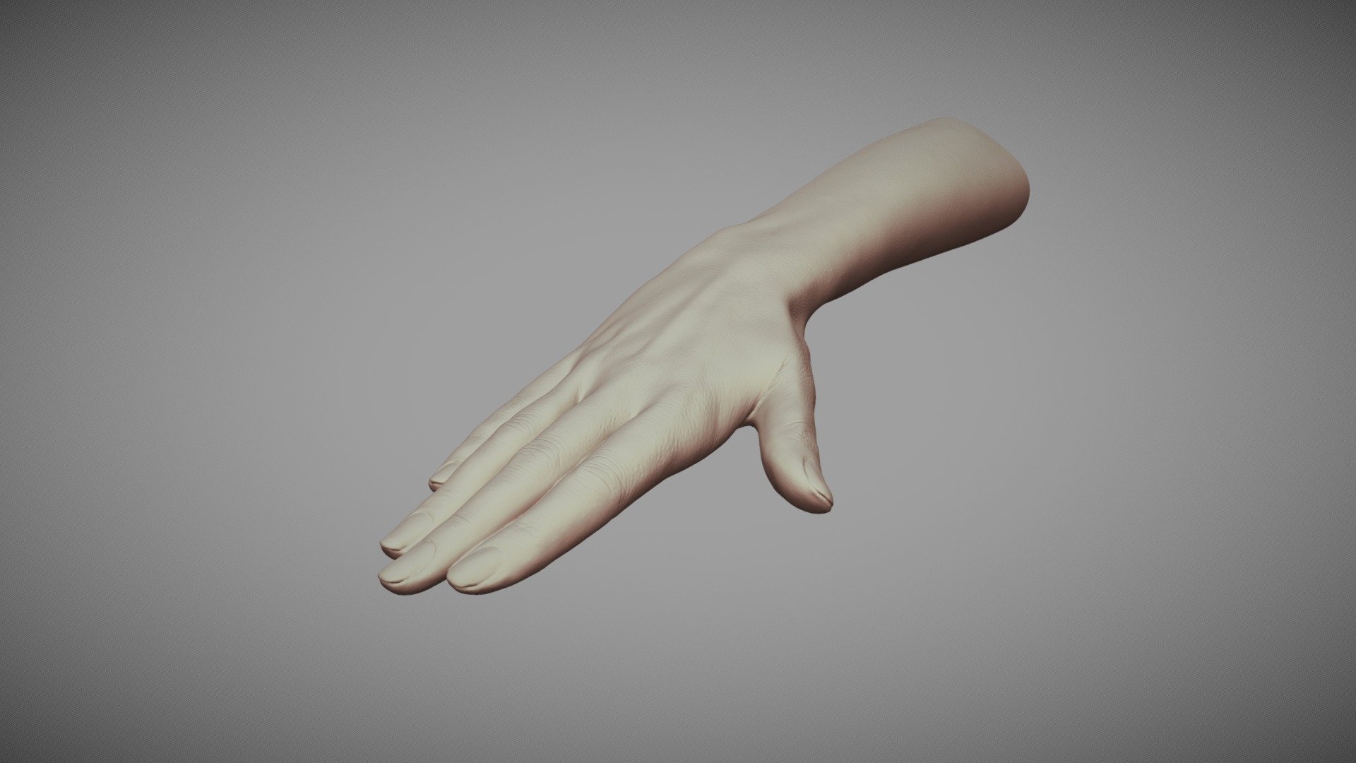 Realistic Female Hand 10 - Buy Royalty Free 3D model by Rumpelstiltskin ...