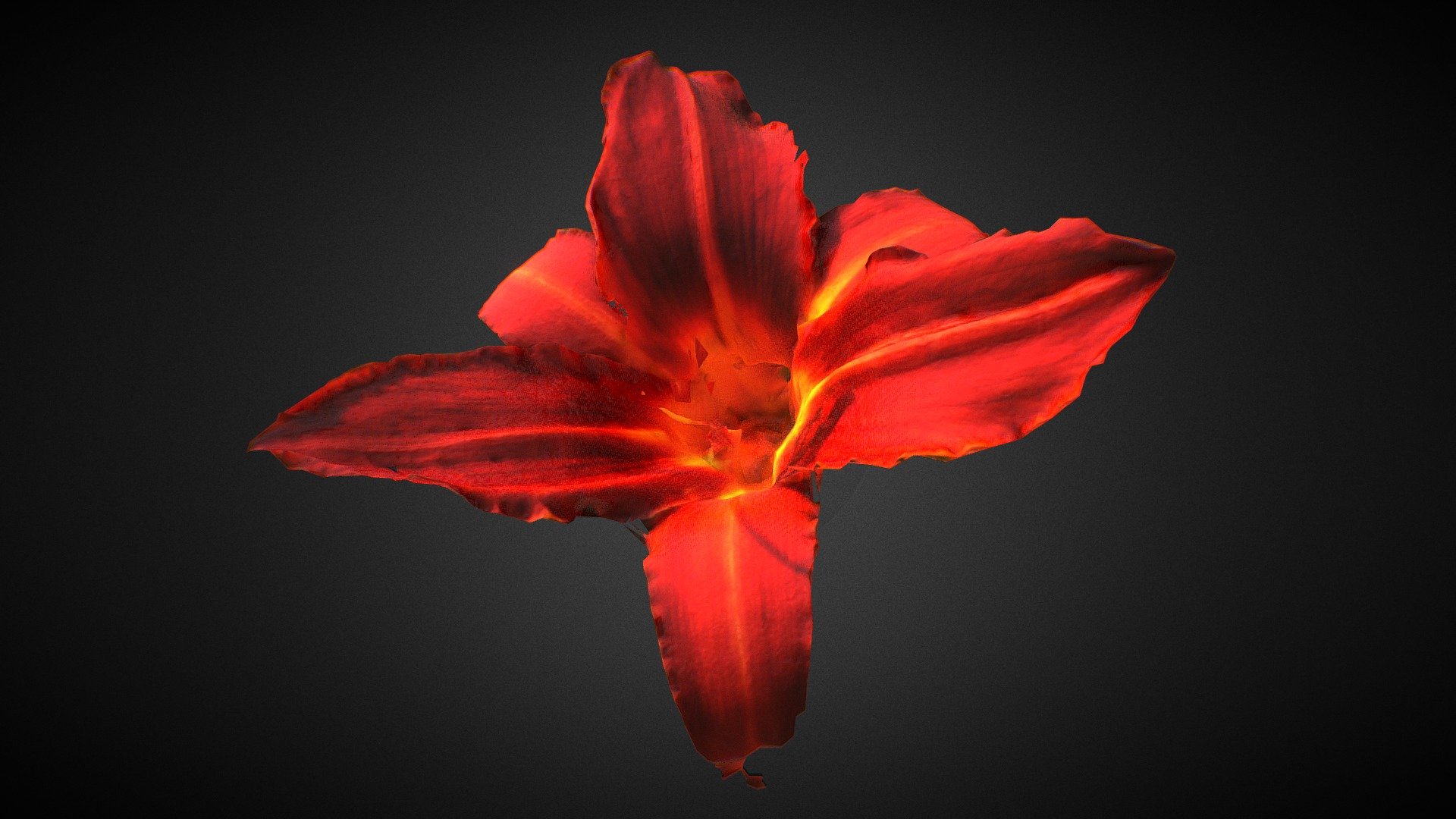 Flower Test - Buy Royalty Free 3D model by 3DSCANFR (sdrn) (@3DSCANFR ...