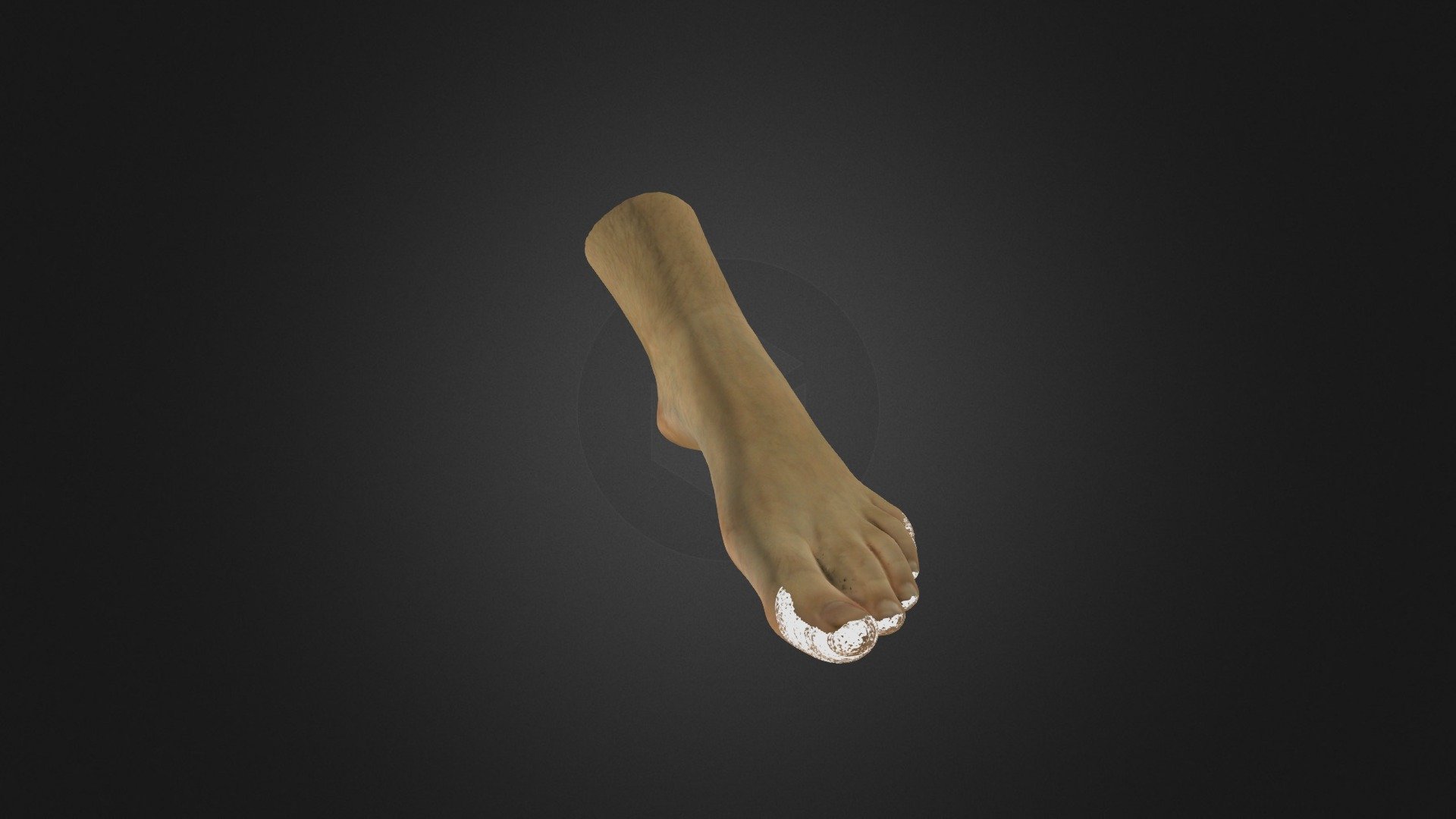 Foot - 3D model by JESUS RODERO-GS3D (@jrodero) [7d9fb4b] - Sketchfab