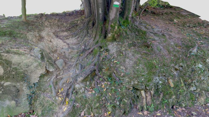 Footpath 3D models - Sketchfab