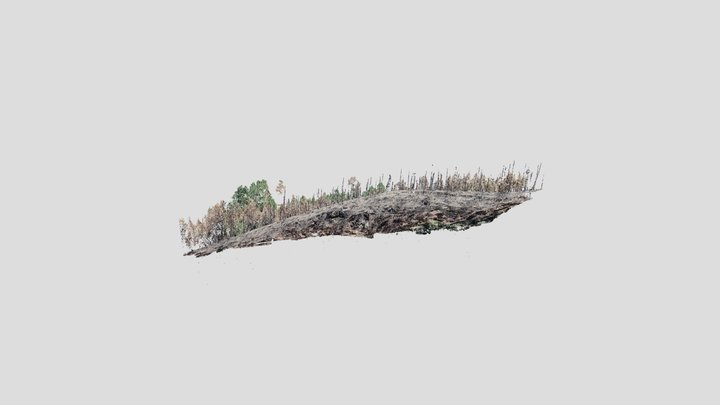 Wildfire 3D models - Sketchfab