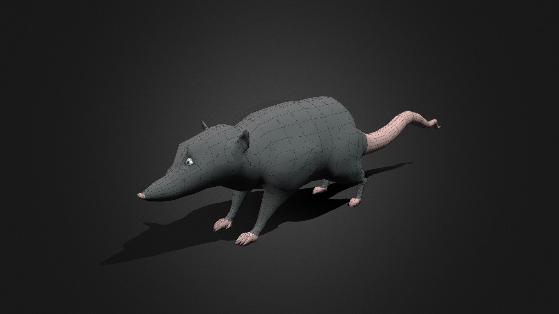 Street Rat - 3D model by Azaguini [7dc7cee] - Sketchfab