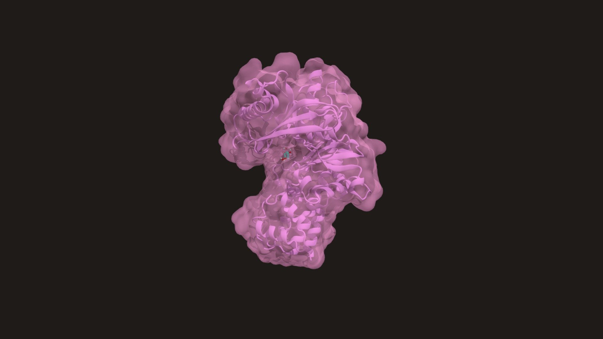 Hexokinase Conformational Change - 3D model by gvsuchem (@gvsu-chem ...