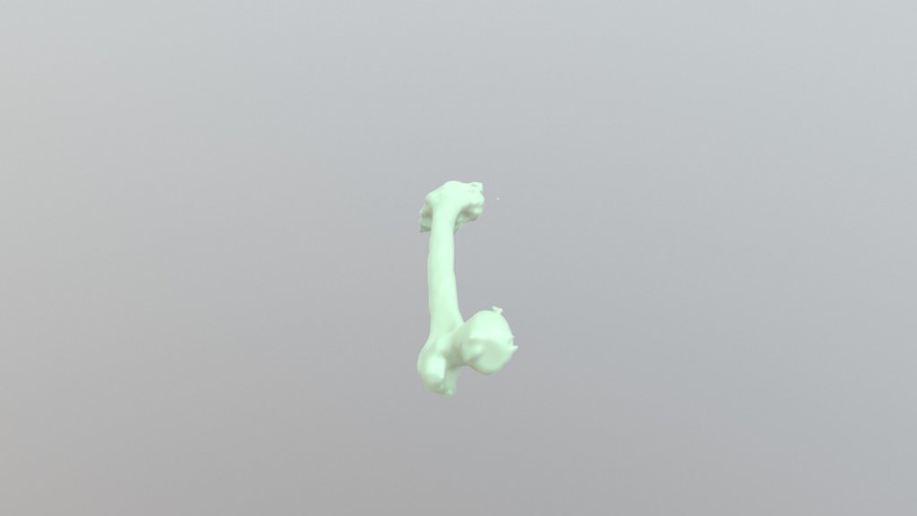 Femur - 3D model by brdunn [7dc9554] - Sketchfab