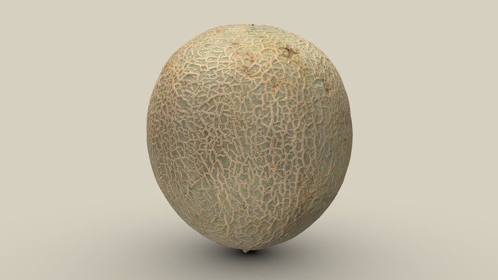 Melon 3D models - Sketchfab