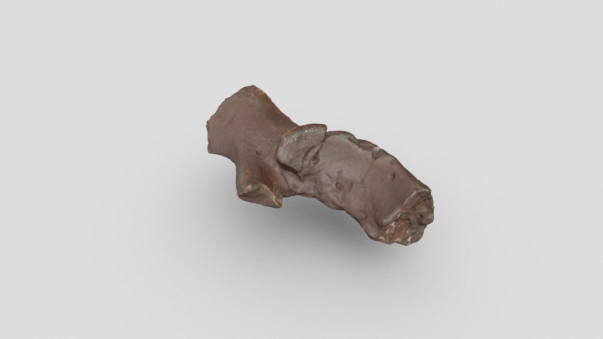 Rudapithecus hungaricus - 3D model by Herman Ottó Múzeum ...