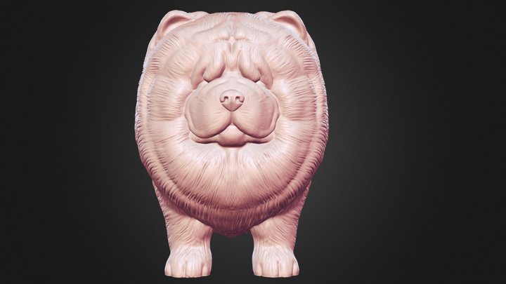 Chow-chow 3D models - Sketchfab