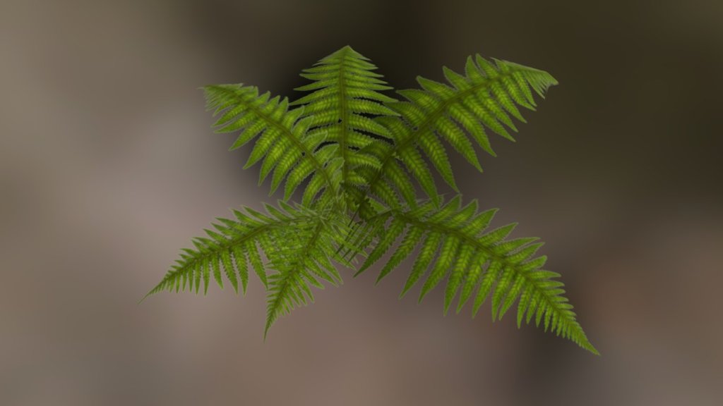 Fern - 3D model by Unreal Software (@PeterSchauss) [7dcda20] - Sketchfab