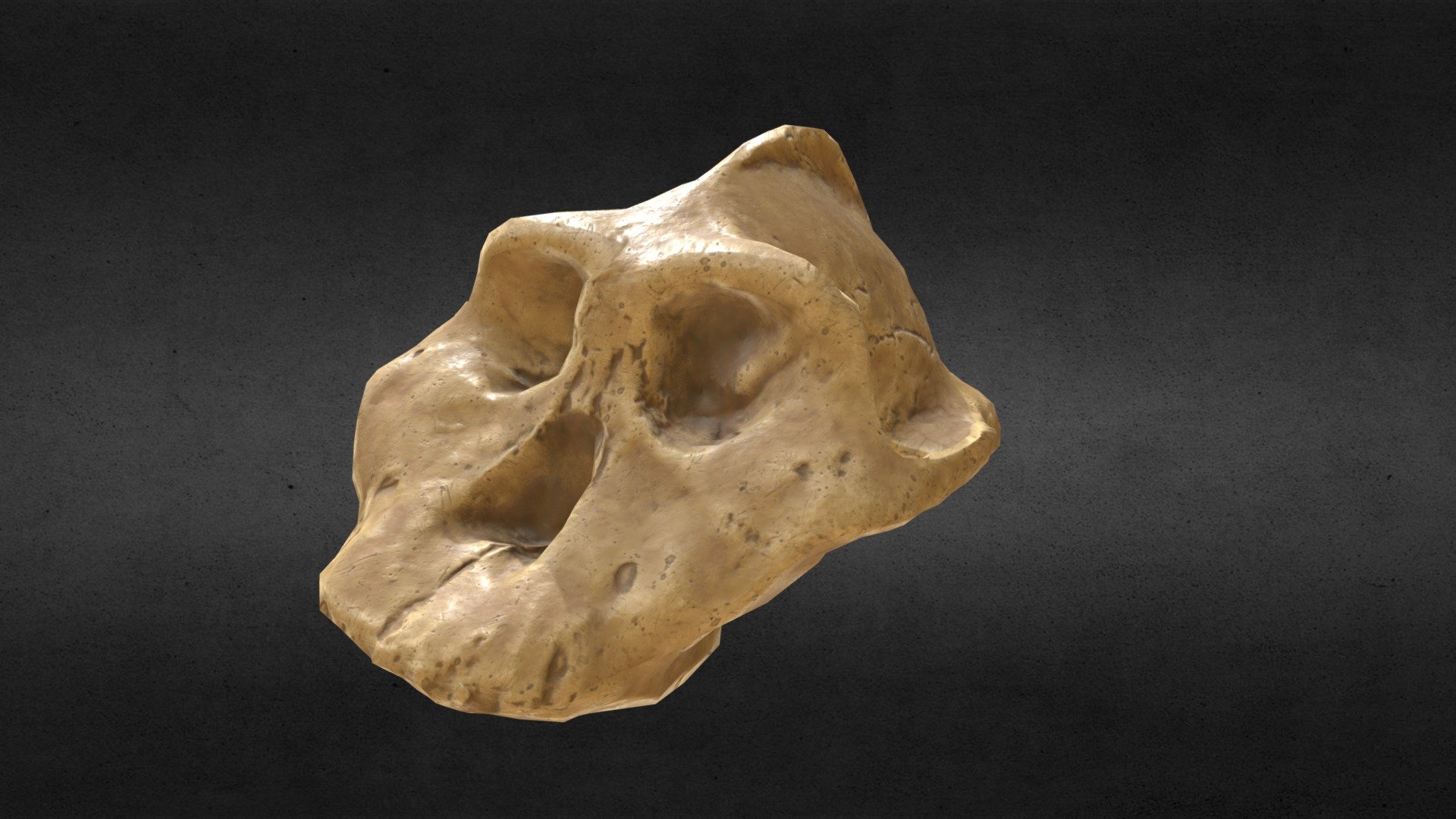 Skull Retop - 3D model by masterbleu [7dcf66a] - Sketchfab