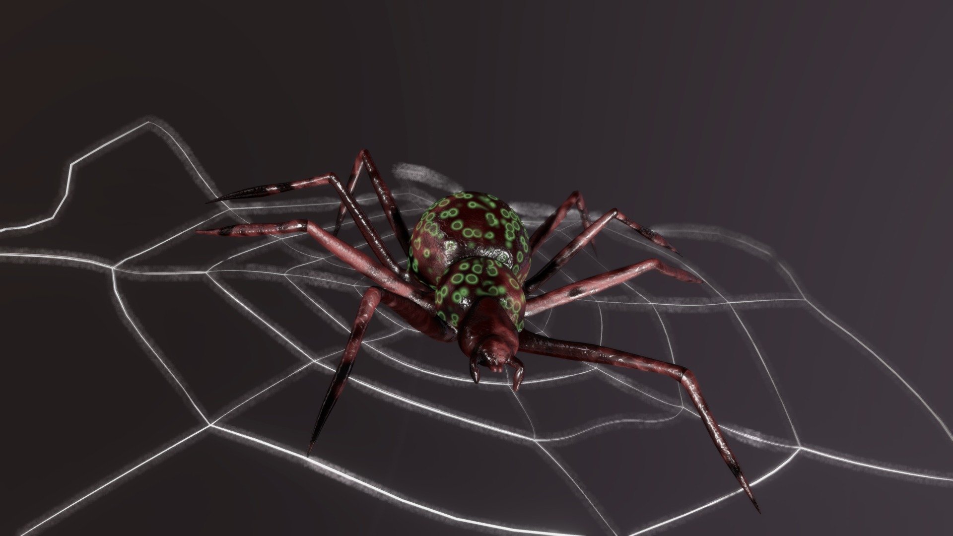 Spider - Download Free 3D model by iamlookingforthebathroom [7dd188c ...
