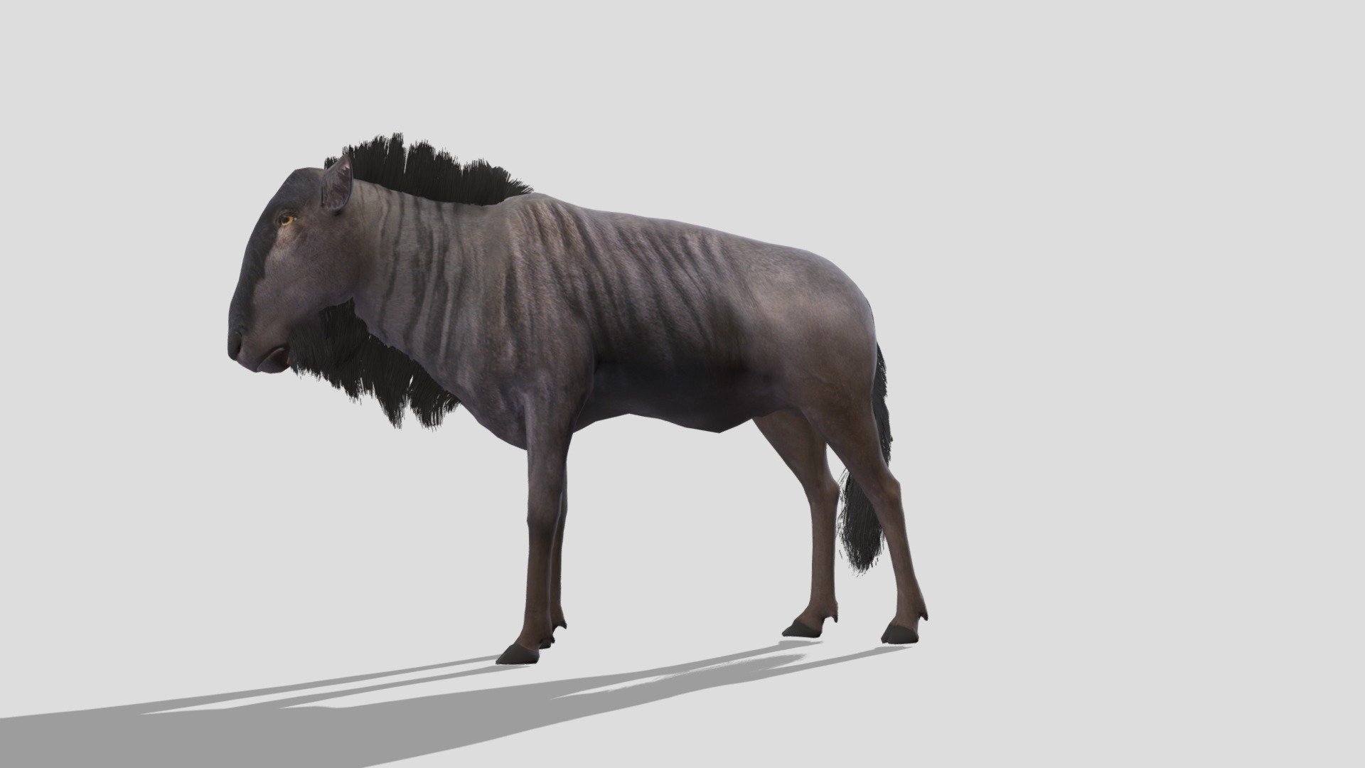 Wildebeest from COTW game (without horns) - Download Free 3D model by ...