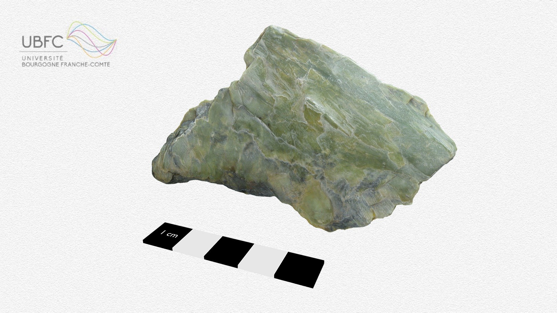 Serpentine - 3D model by Buoncristiani JF. (@jfbuon) [7de3f09] - Sketchfab