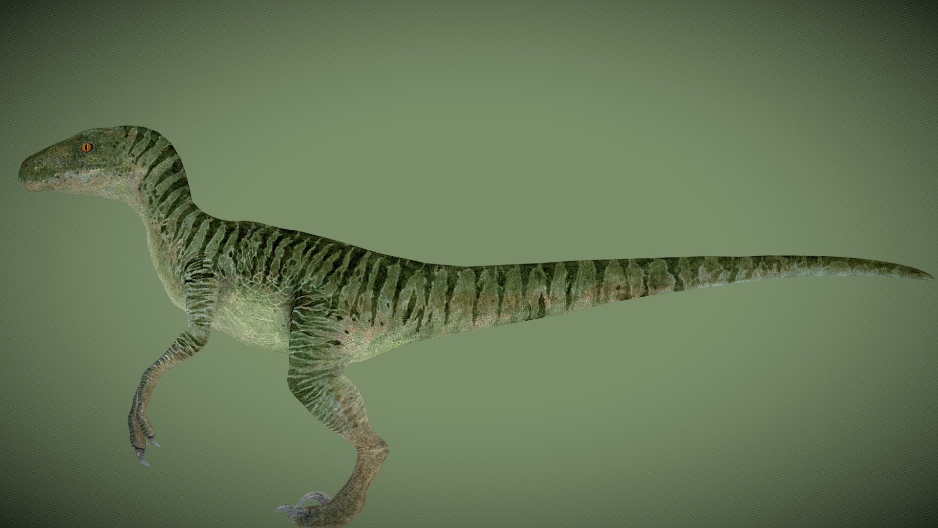 Jurassic World 2015 Charlie the Velociraptor - Download Free 3D model ...