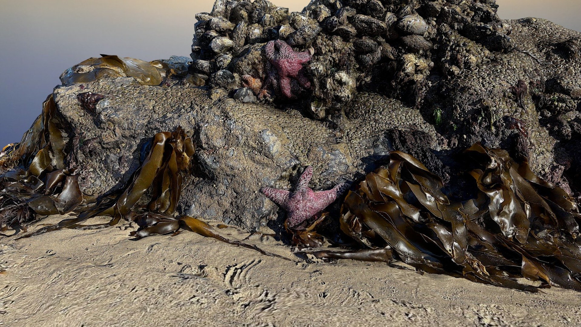 Sea Rock - Download Free 3D model by Phil.Devine [7deb7ed] - Sketchfab
