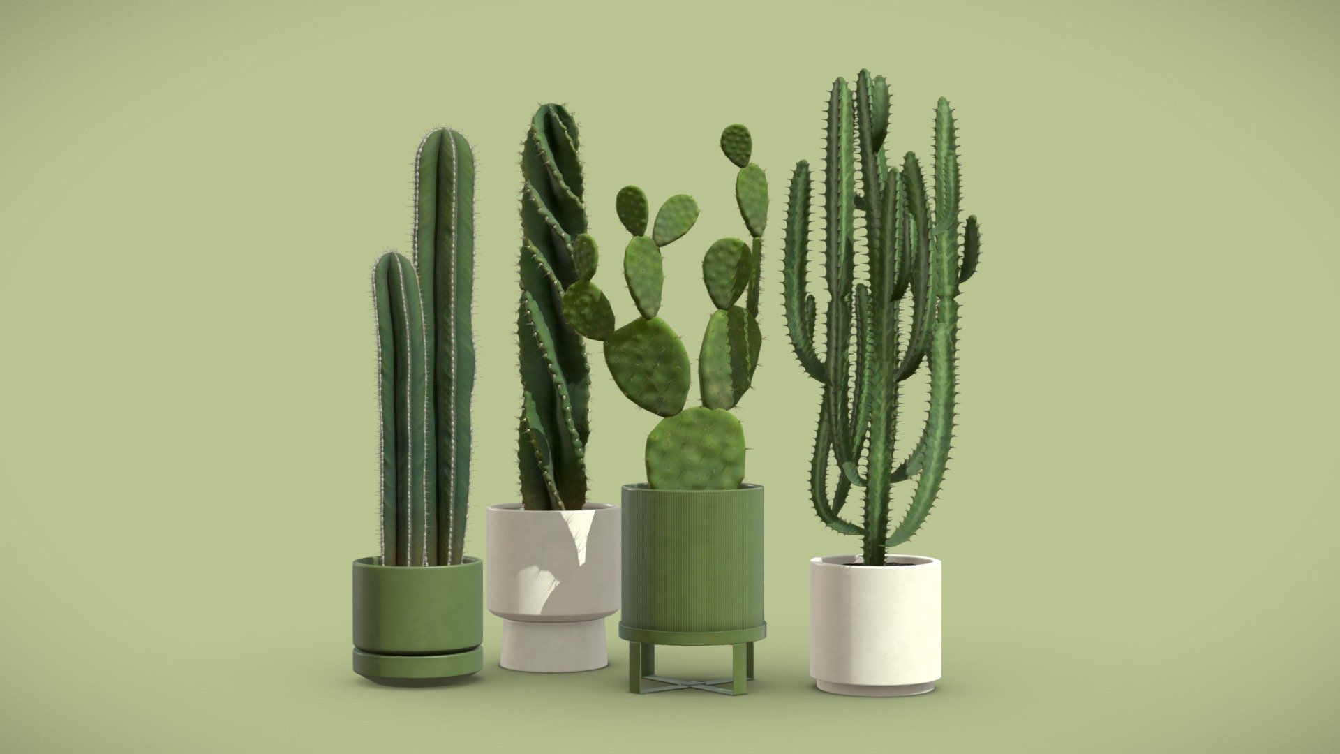 Cactus Pack 02 - Buy Royalty Free 3D model by AllQuad [7deccf7 ...