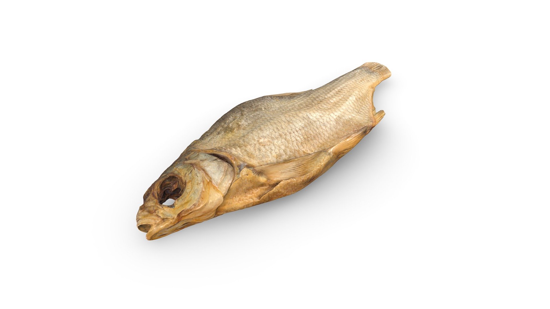 Dried Fish - 3D model by RawCatalog.com (@rawcatalog) [7defcc1] - Sketchfab