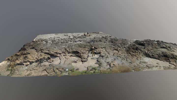 Sea-level 3D models - Sketchfab