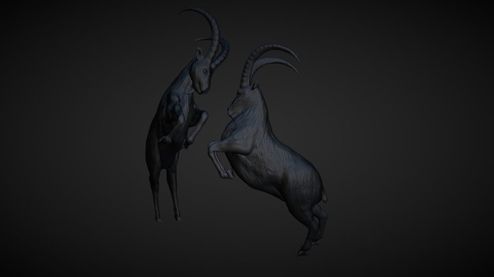 Ibex 3D models - Sketchfab