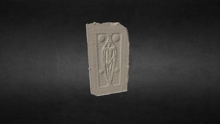Cadaver 3D models - Sketchfab