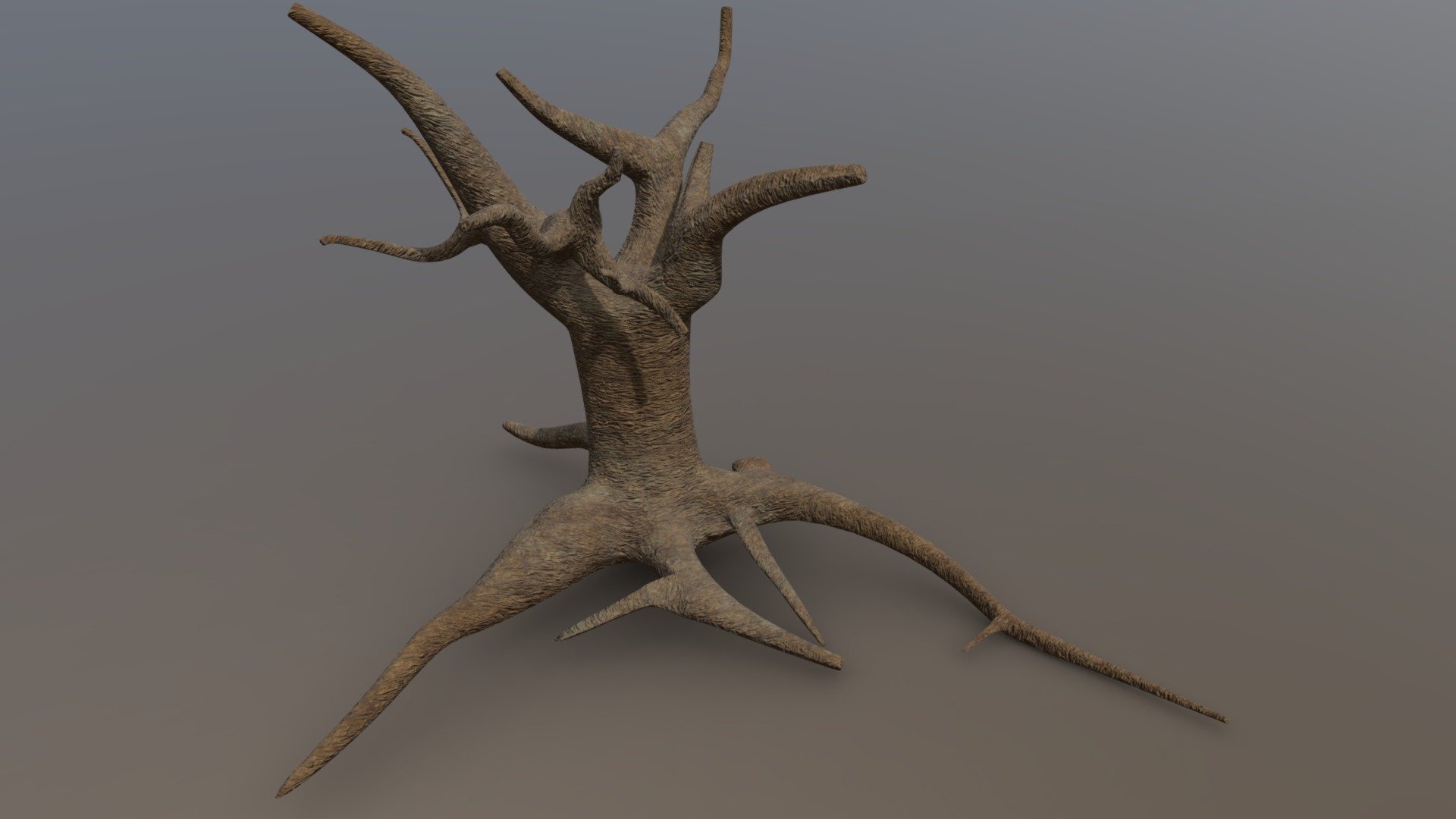 DeadTree - 3D model by Christopher (@Cchapa) [7dff7d9] - Sketchfab