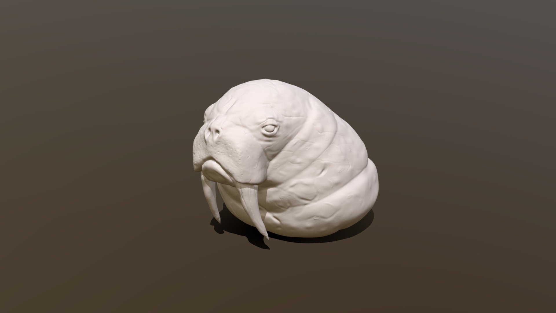 Walrus - Download Free 3D model by apepindesjardin [7e08c46] - Sketchfab